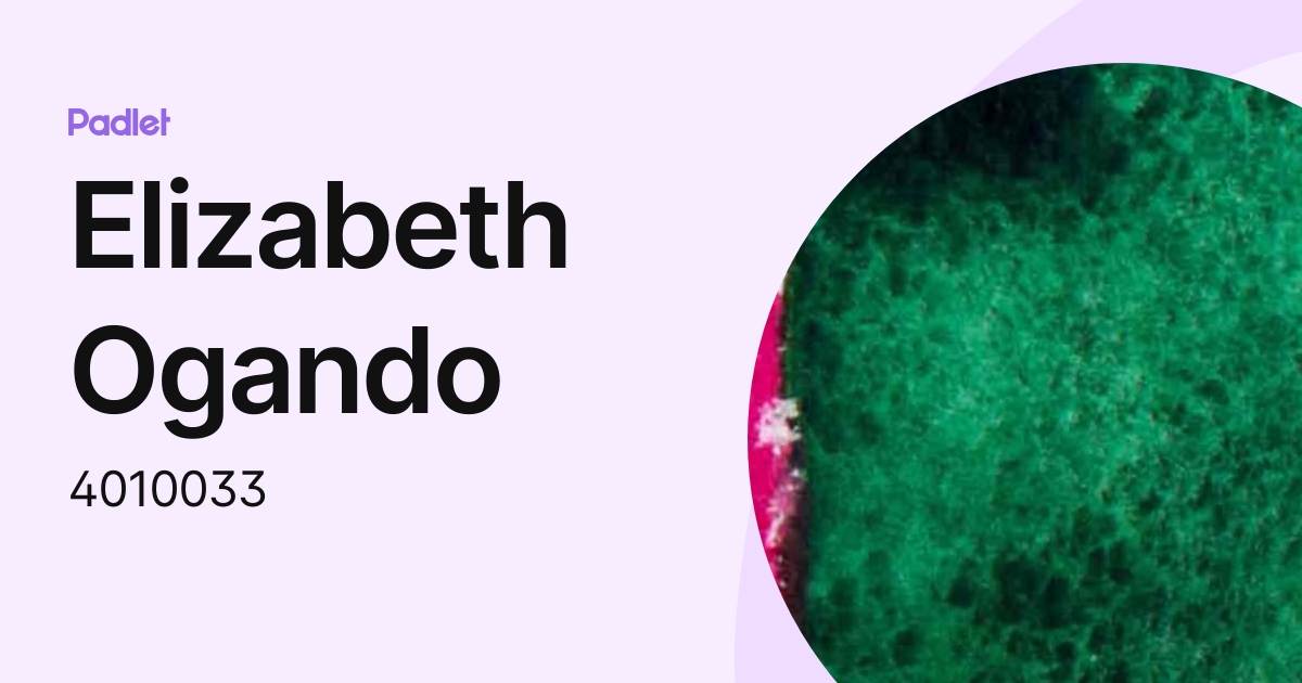 Elizabeth Ogando (4010033) profile | Padlet