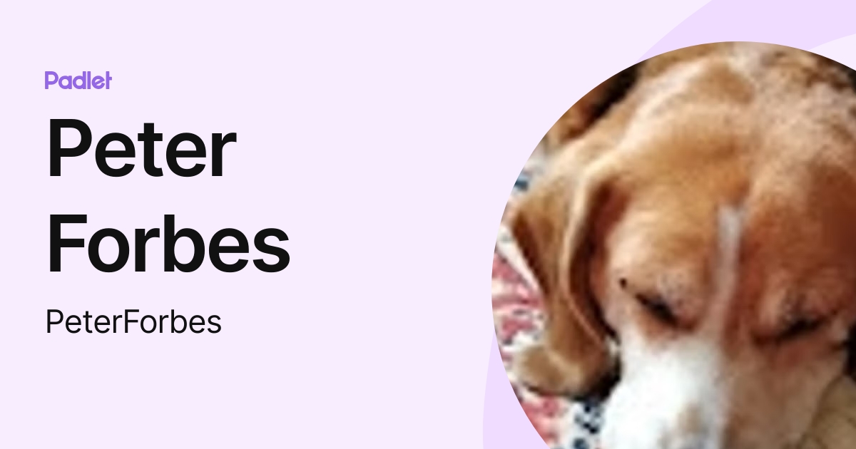 Peter Forbes (PeterForbes) profile | Padlet