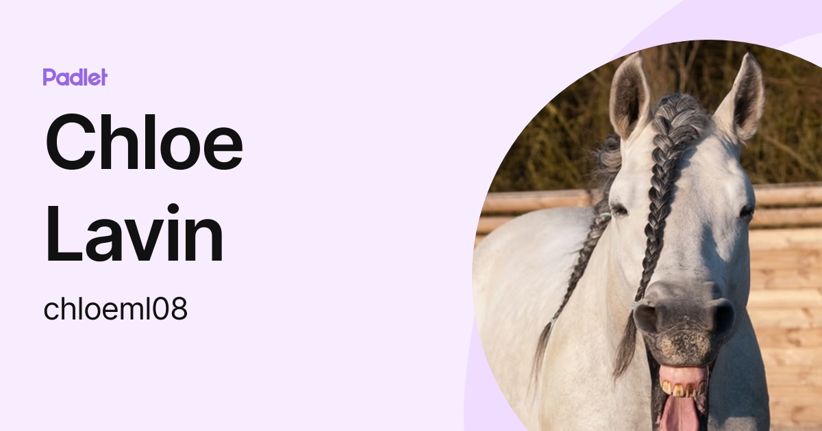 Chloe Lavin (chloeml08) profile | Padlet