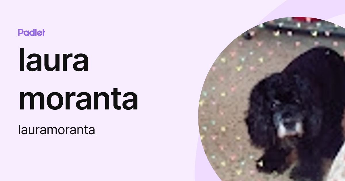 laura moranta (lauramoranta) profile | Padlet