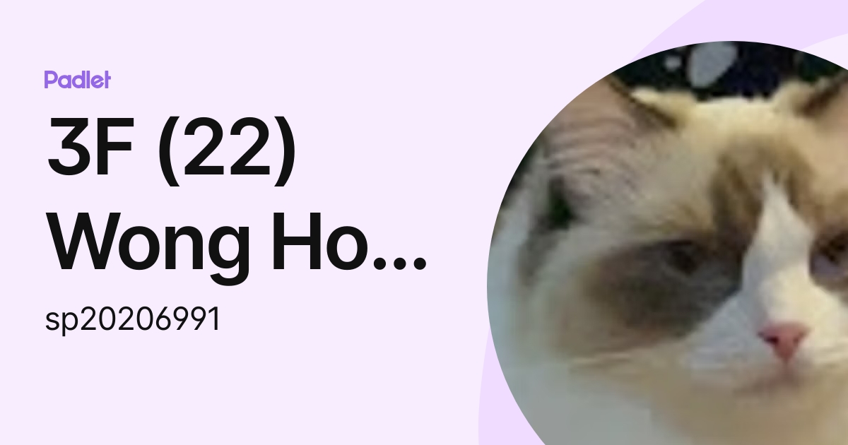 3F (22) Wong Hoi Lam (sp20206991) profile | Padlet