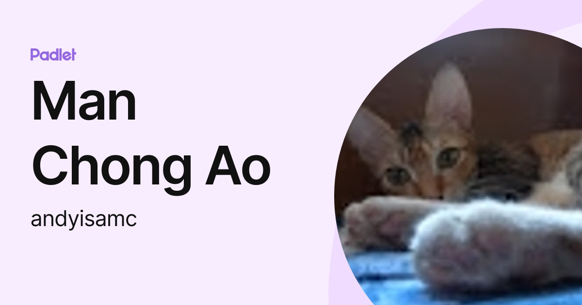 Man Chong Ao (andyisamc) profile | Padlet
