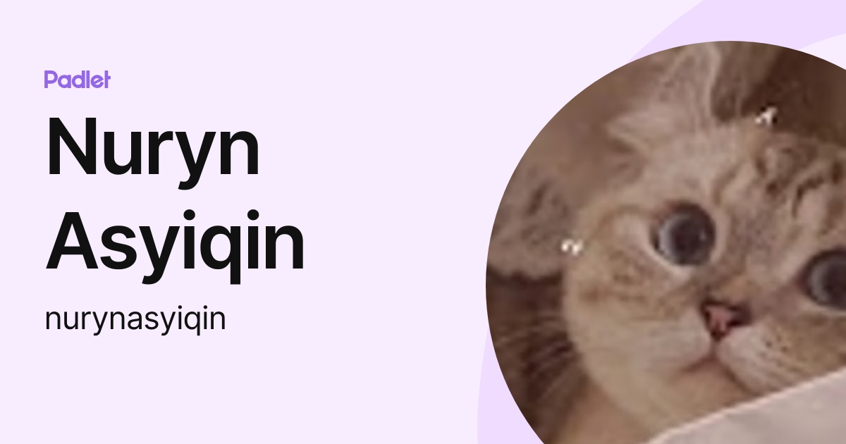Nuryn Asyiqin (nurynasyiqin) profile | Padlet