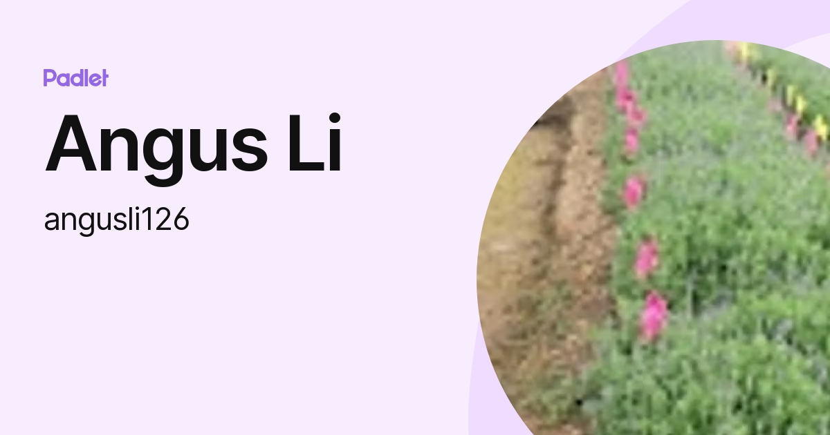 Angus Li (angusli126) profile | Padlet