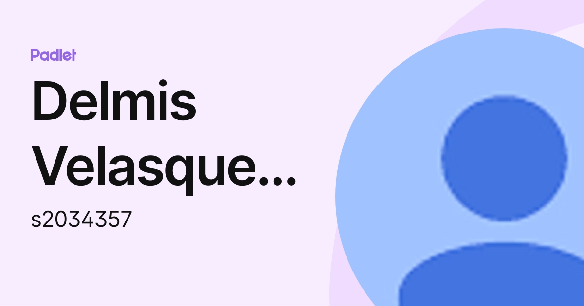 Delmis VelasquezMontecinos (s2034357) profile | Padlet