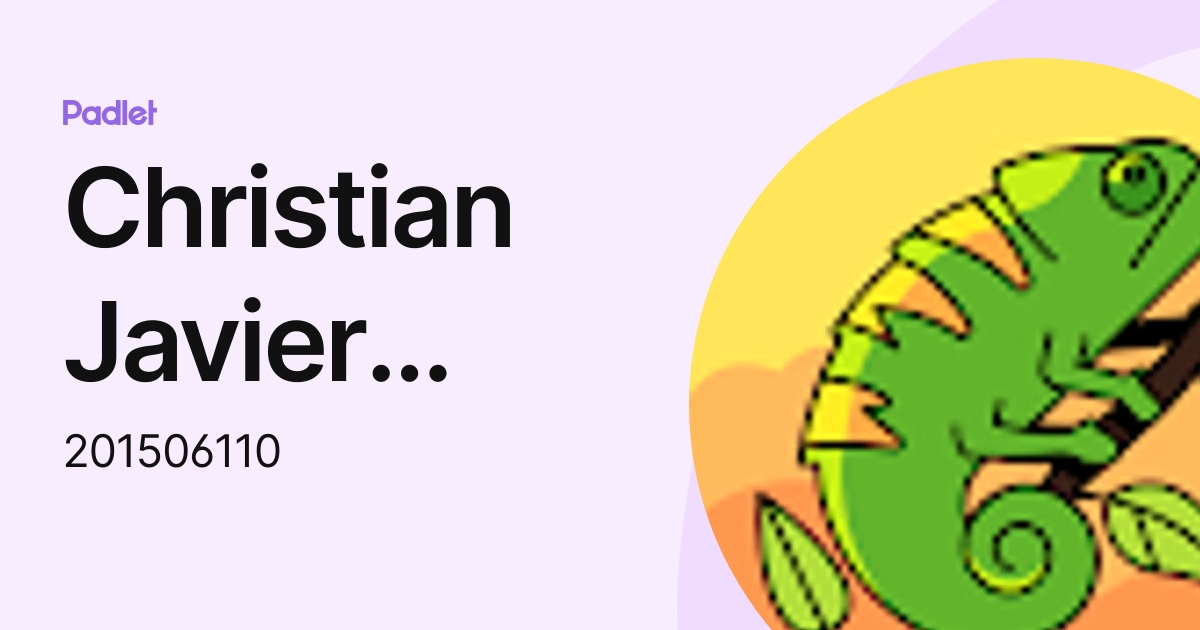 Christian Javier Claros Fong (201506110) profile | Padlet