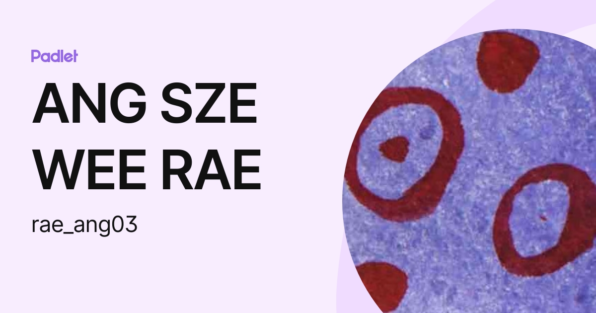 ANG SZE WEE RAE (rae_ang03) profile | Padlet