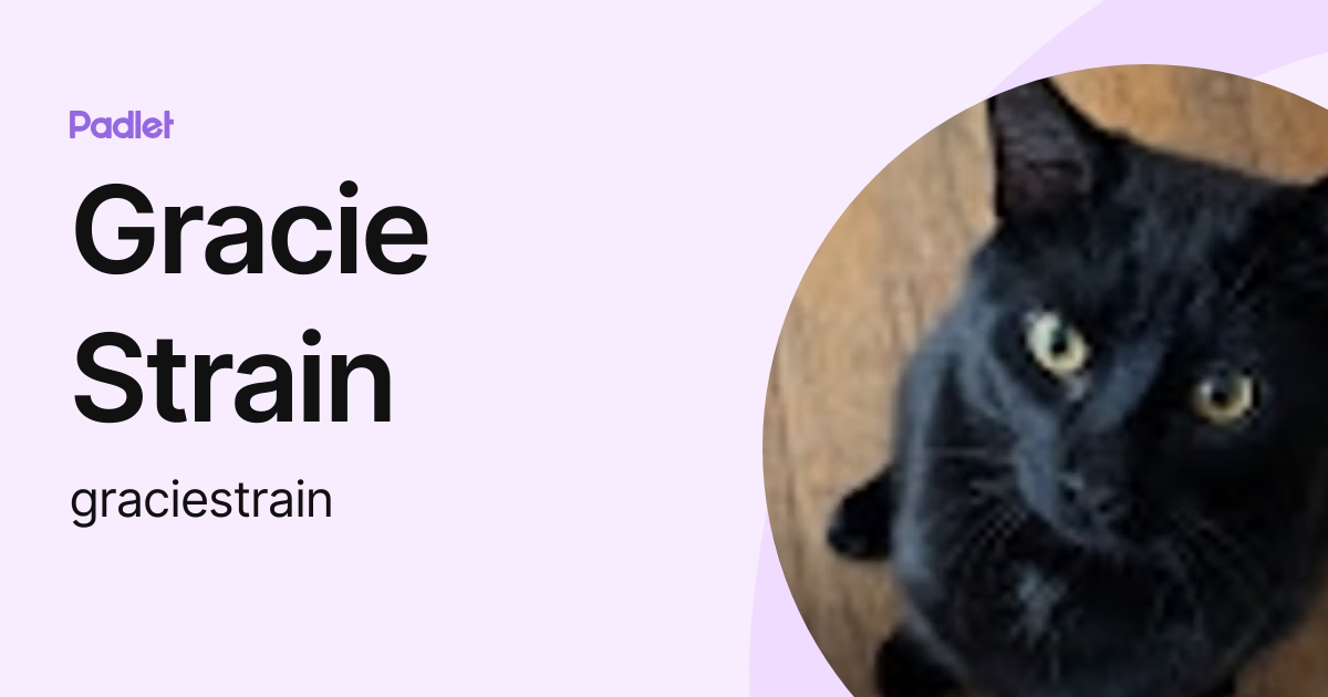 Gracie Strain (graciestrain) profile | Padlet