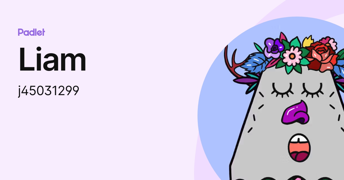 Liam (j45031299) profile | Padlet