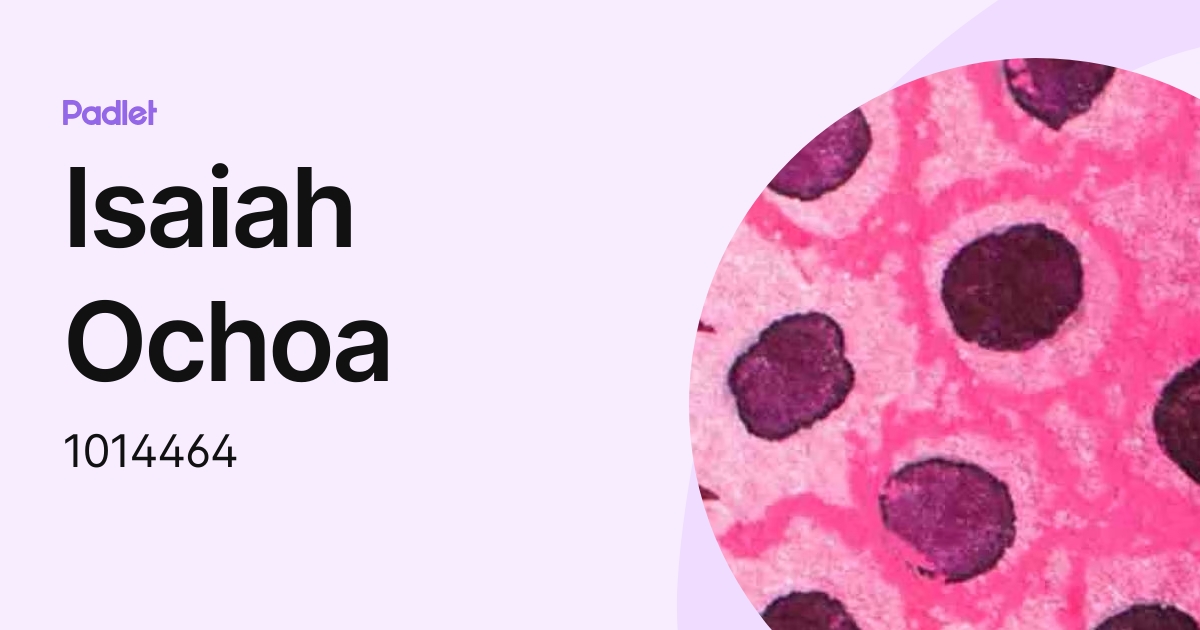 Isaiah Ochoa (1014464) profile | Padlet