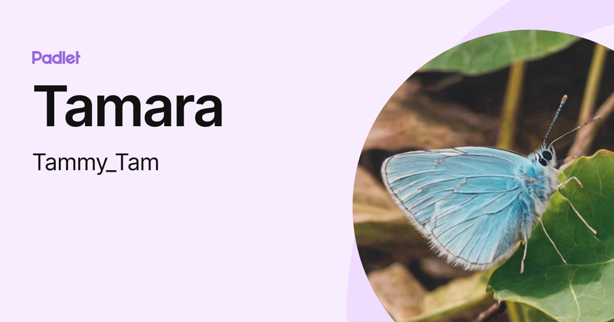 Tamara (Tammy_Tam) profile | Padlet