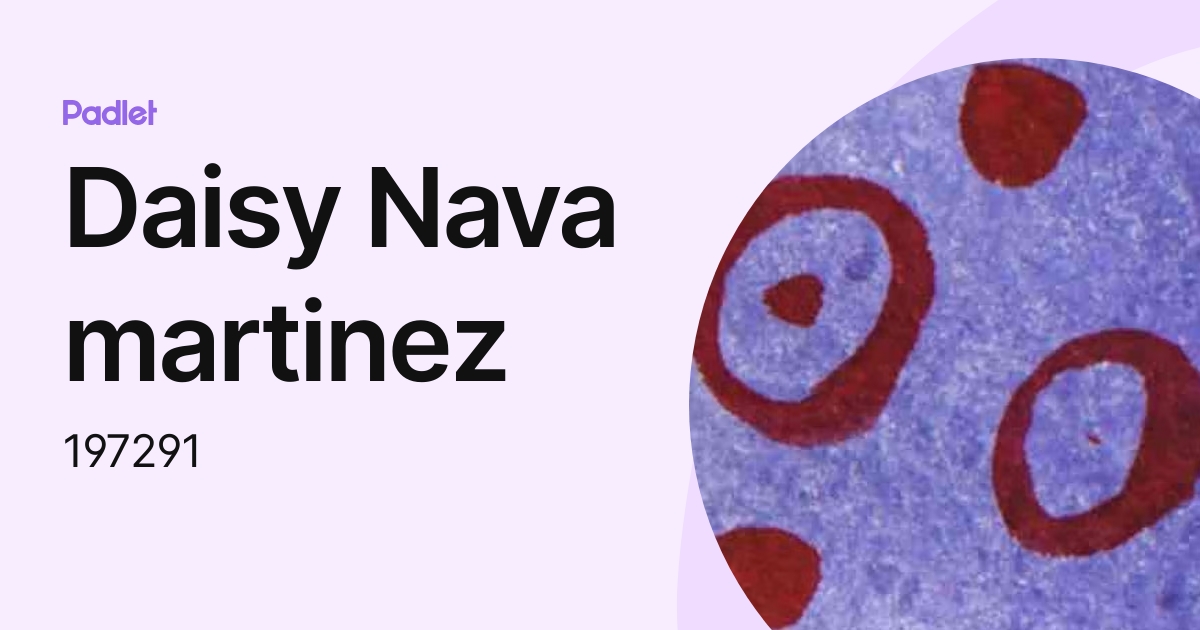 Daisy Nava martinez (197291) profile | Padlet