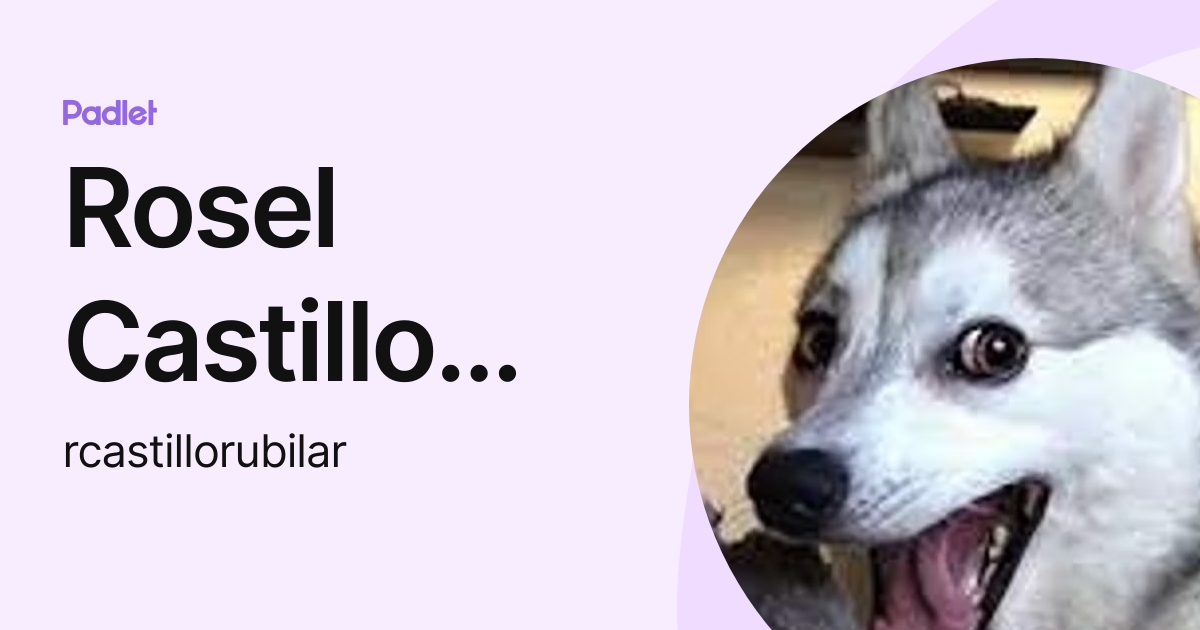 Rosel Castillo Rubilar. (rcastillorubilar) profile | Padlet