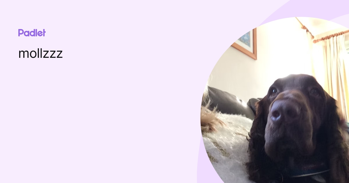 mollzzz profile | Padlet