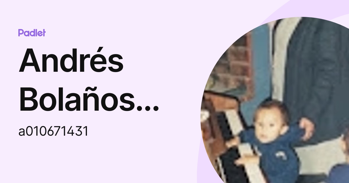 Andrés Bolaños Méndez (a010671431) profile | Padlet