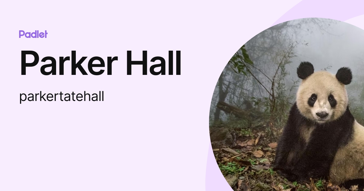 Parker Hall (parkertatehall) profile | Padlet