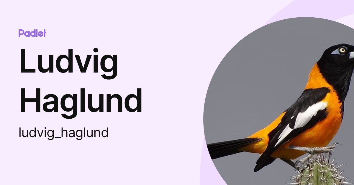 Ludvig Haglund (ludvig_haglund) profile | Padlet