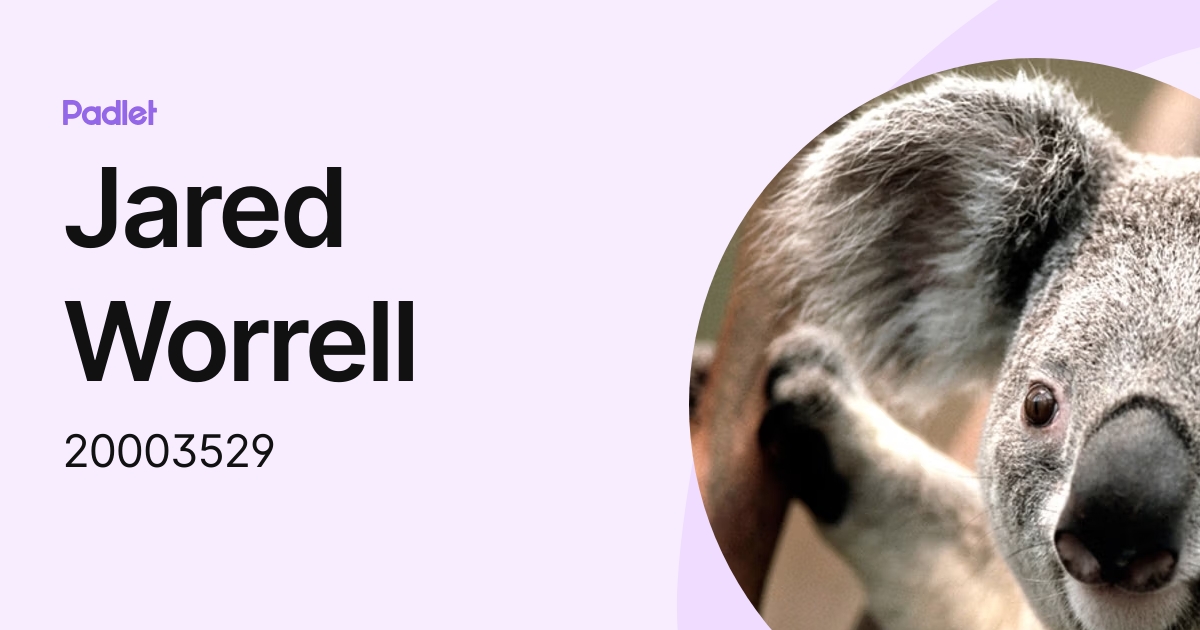 Jared Worrell (20003529) profile | Padlet
