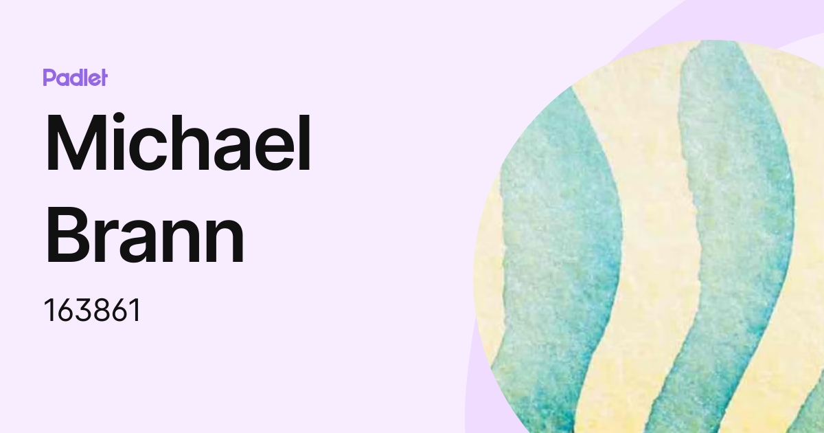 Michael Brann (163861) profile | Padlet