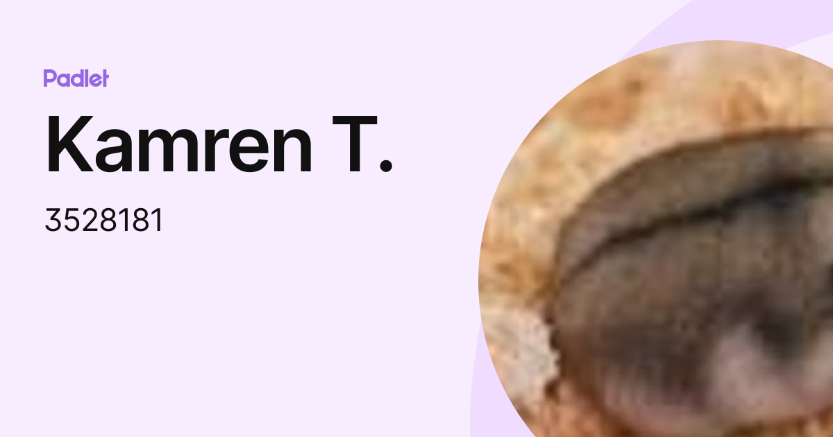 Kamren T. (3528181) profile | Padlet