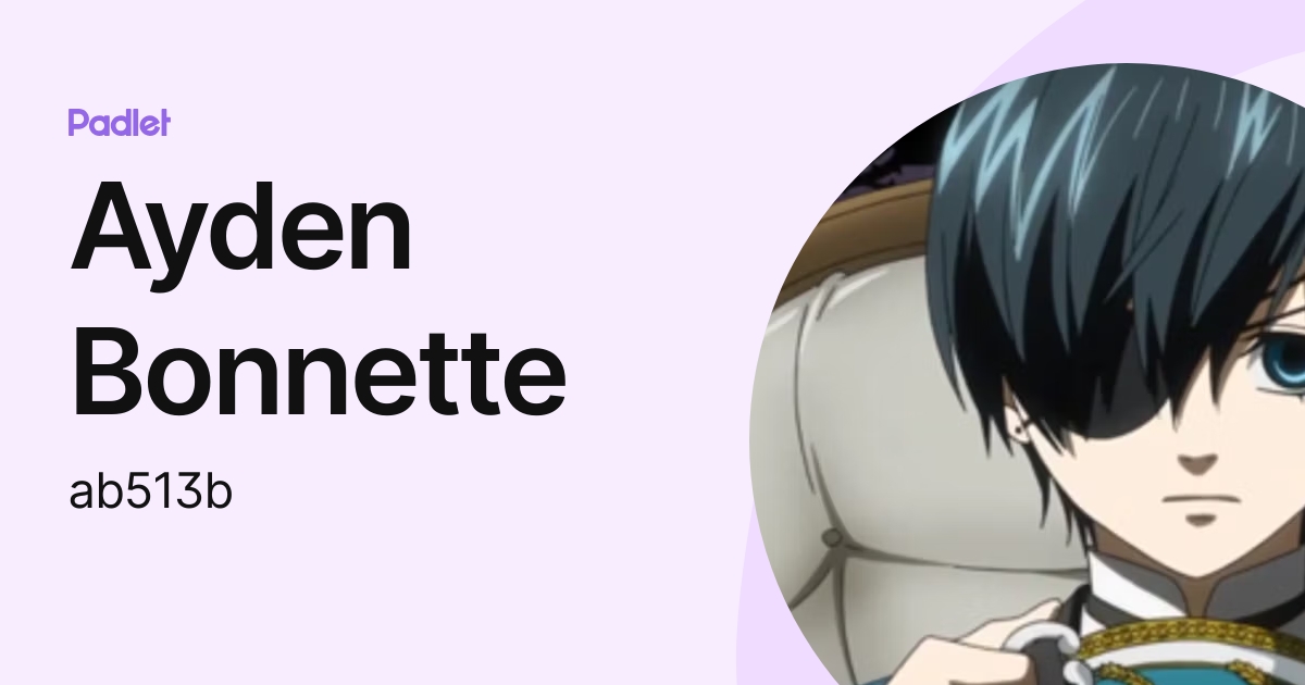 Ayden Bonnette (ab513b) profile | Padlet