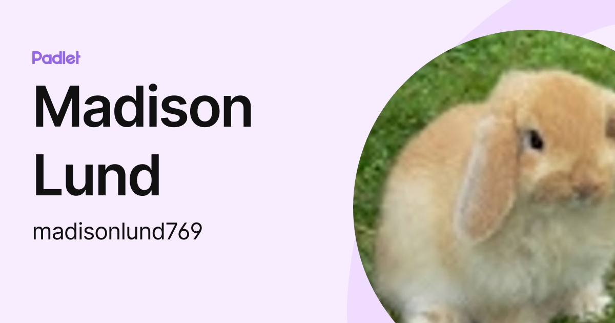 Madison Lund (madisonlund769) profile | Padlet