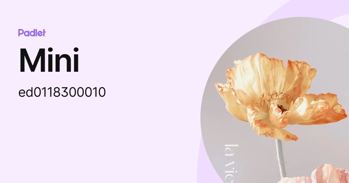 Mini (ed0118300010) profile | Padlet