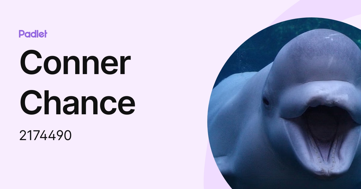 Conner Chance (2174490) profile | Padlet