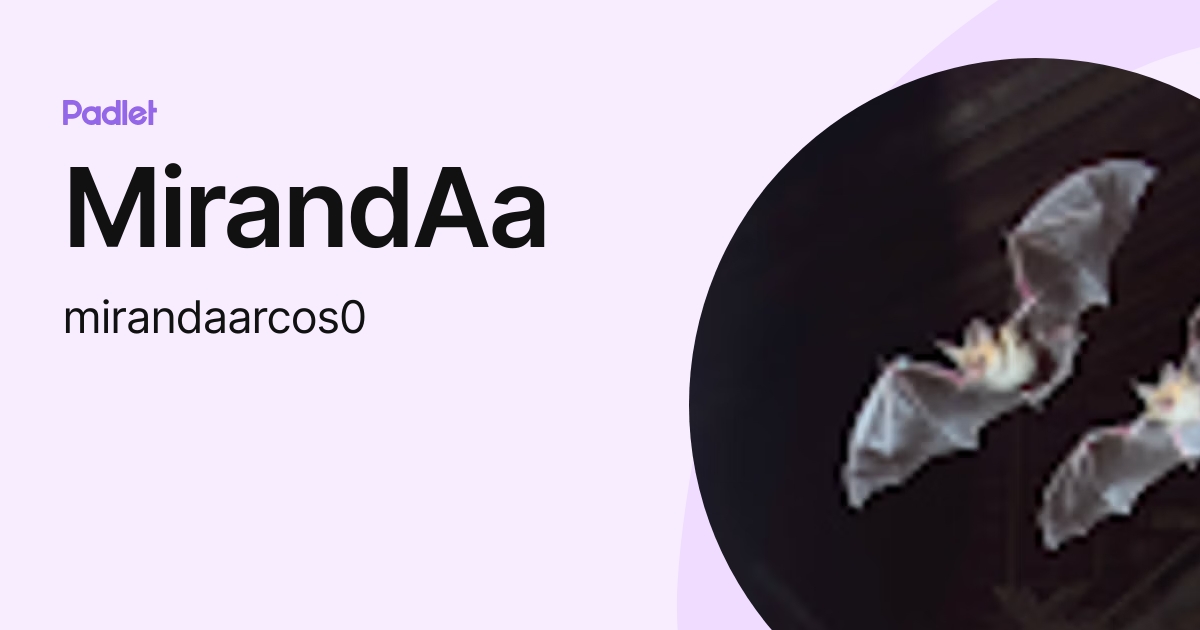 MirandAa (mirandaarcos0) profile | Padlet