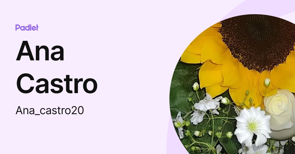 Ana Castro (Ana_castro20) profile | Padlet