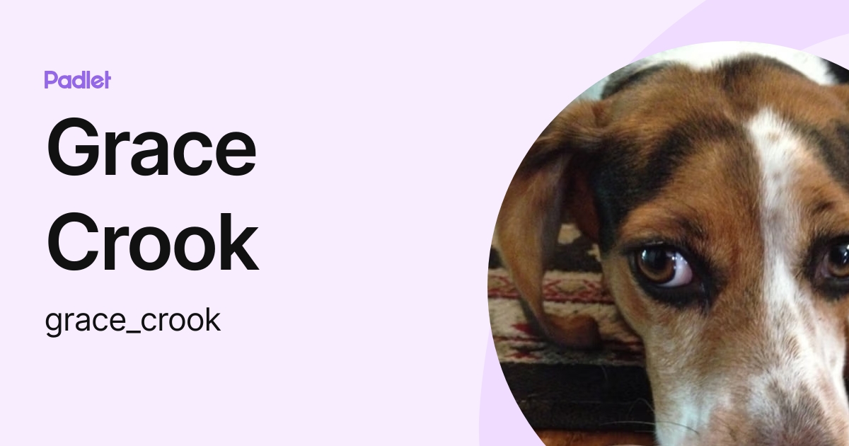 Grace Crook (grace_crook) profile | Padlet