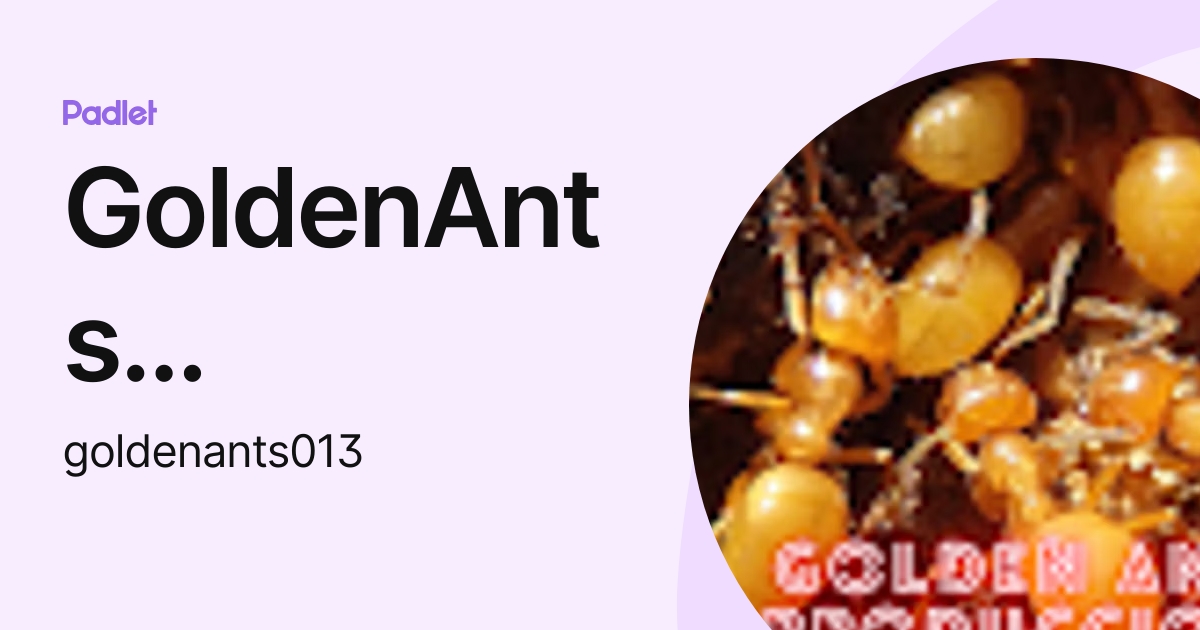 GoldenAnts Productions (goldenants013) profile | Padlet