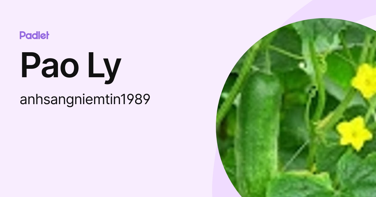 Pao Ly (anhsangniemtin1989) profile | Padlet