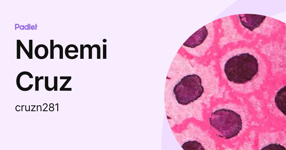 Nohemi Cruz (cruzn281) profile | Padlet