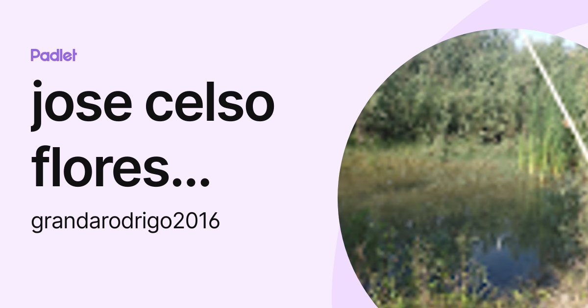 jose celso flores granda (grandarodrigo2016) profile | Padlet
