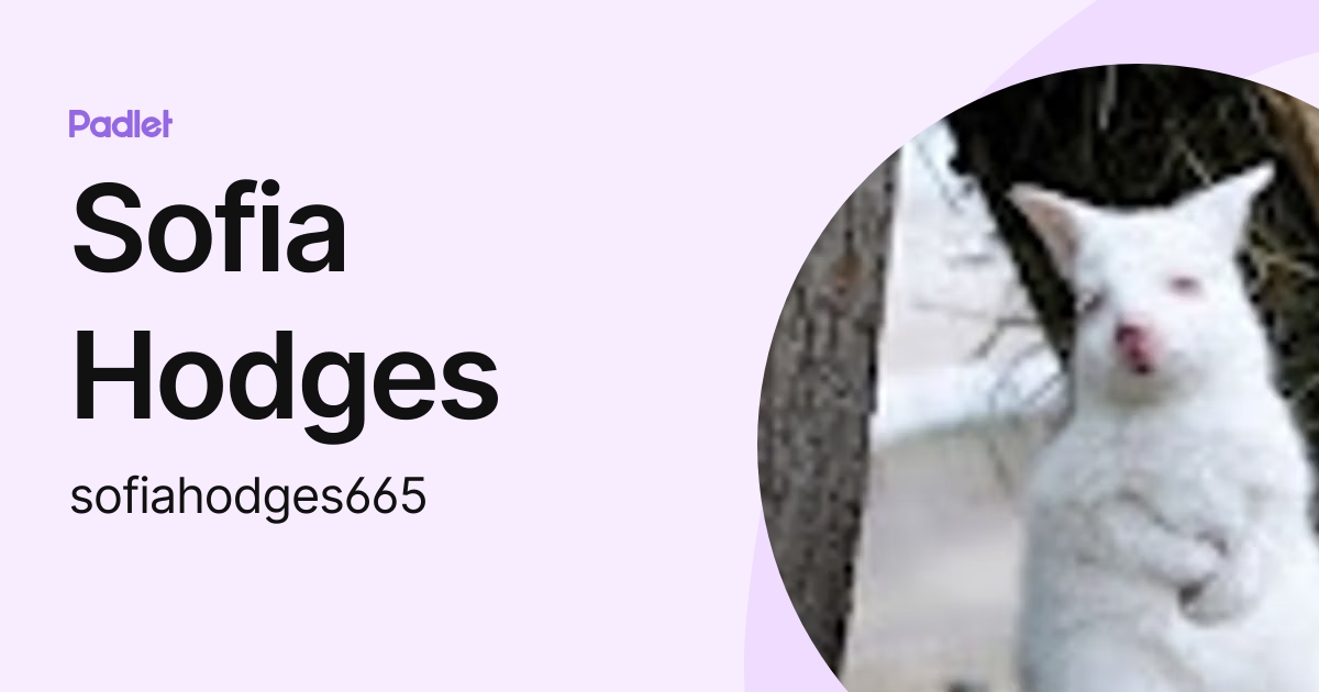 Sofia Hodges (sofiahodges665) profile | Padlet