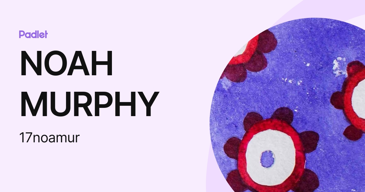 NOAH MURPHY (17noamur) profile | Padlet