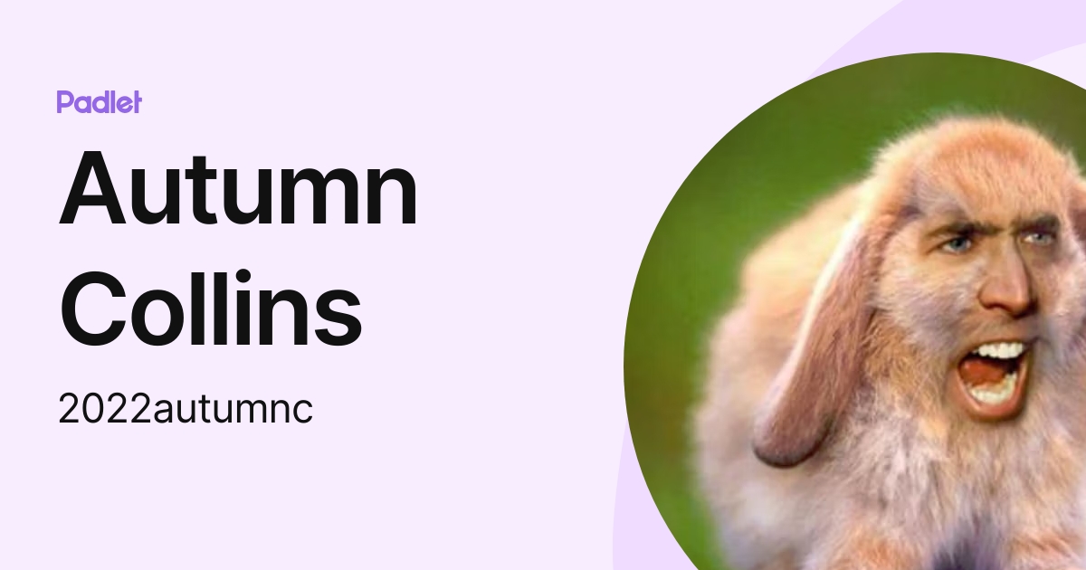 Autumn Collins (2022autumnc) profile | Padlet