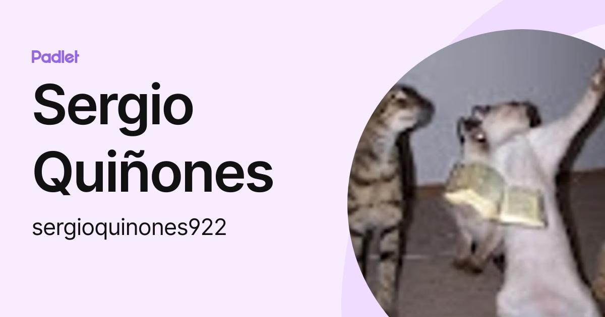 Sergio Quiñones (sergioquinones922) profile | Padlet