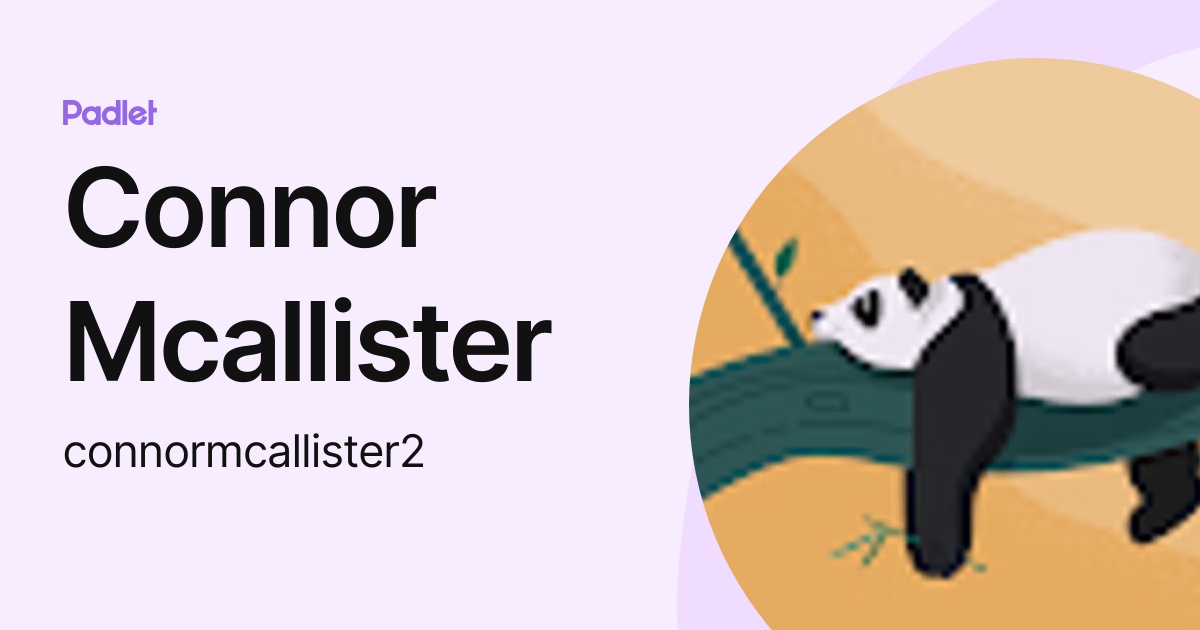 Connor Mcallister (connormcallister2) profile | Padlet