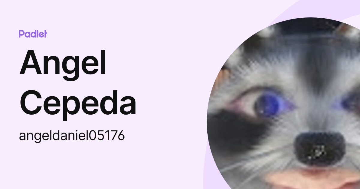 Angel Cepeda (angeldaniel05176) profile | Padlet