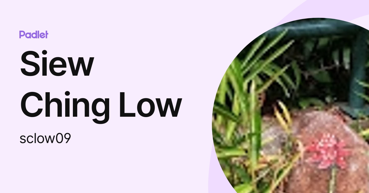 Siew Ching Low (sclow09) profile | Padlet
