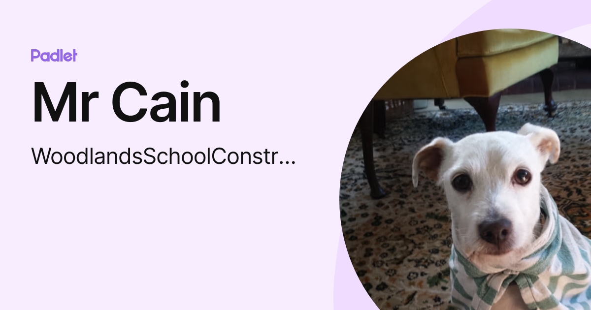 Mr Cain (WoodlandsSchoolConstruction) profile | Padlet