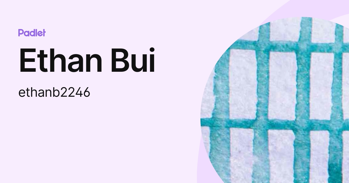 Ethan Bui (ethanb2246) profile | Padlet