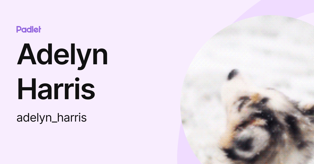 Adelyn Harris (adelyn_harris) profile | Padlet