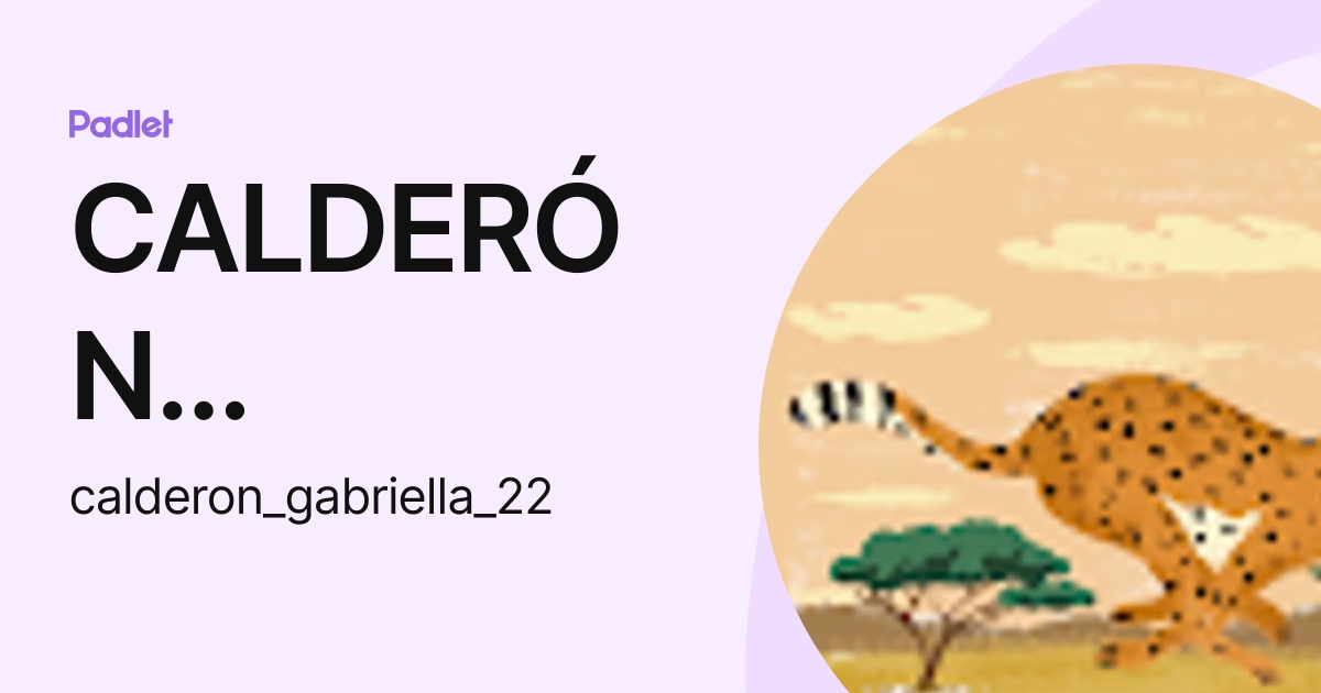 CALDERÓN VASQUEZ GABRIELLA IVONE (calderon_gabriella_22) profile | Padlet
