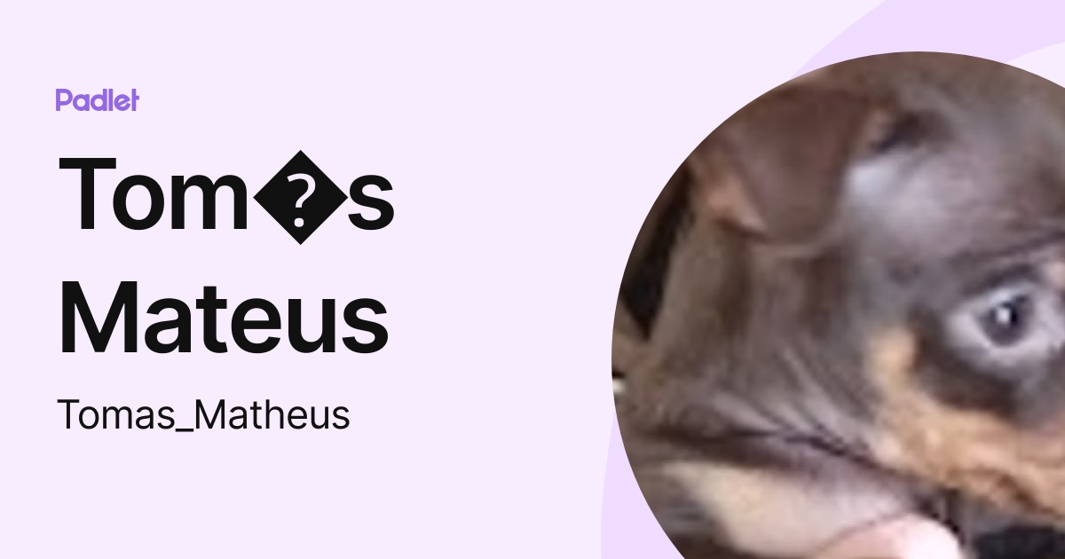 Tom s Mateus (Tomas_Matheus) profile | Padlet