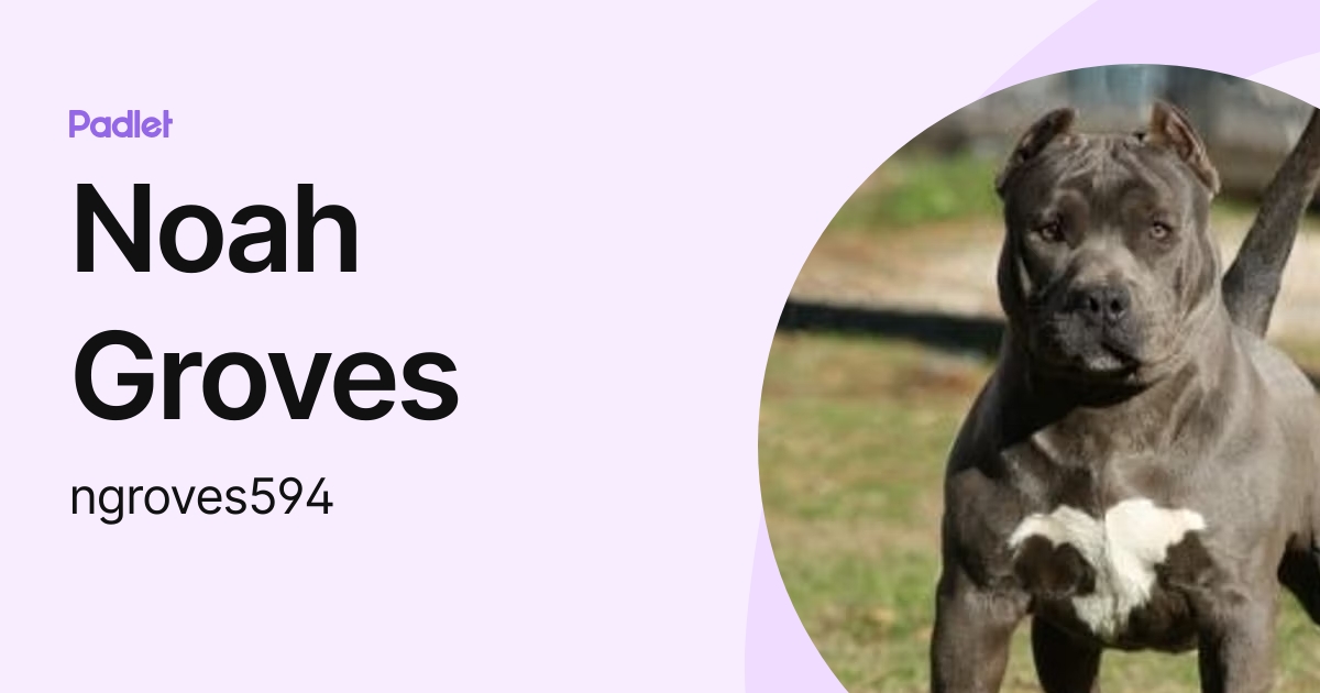 Noah Groves (ngroves594) profile | Padlet