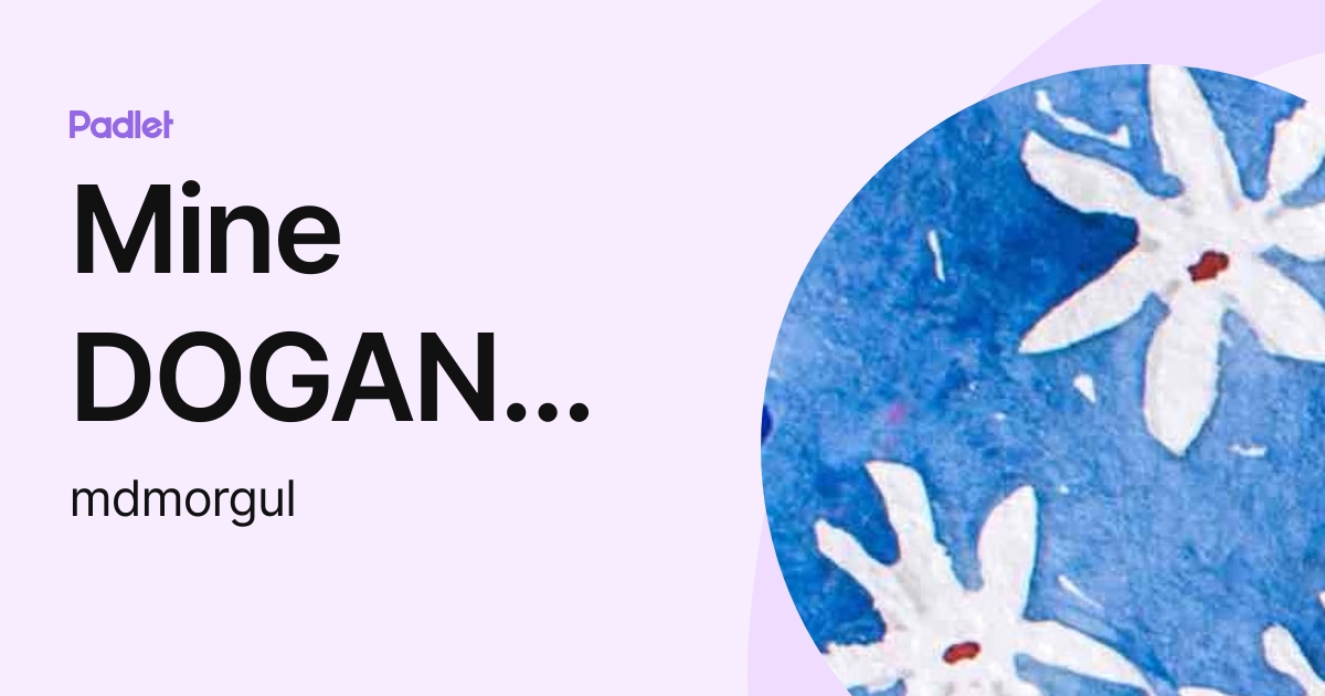 Mine DOGAN MORGÜL (mdmorgul) profile | Padlet