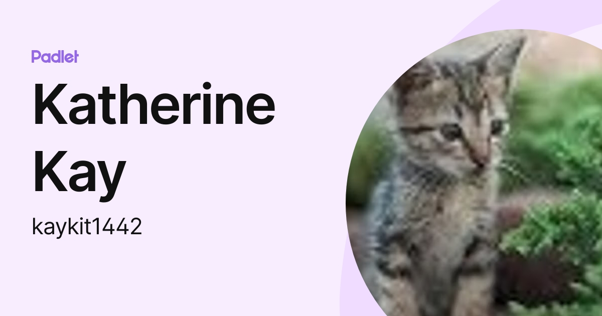 Katherine Kay (kaykit1442) profile | Padlet